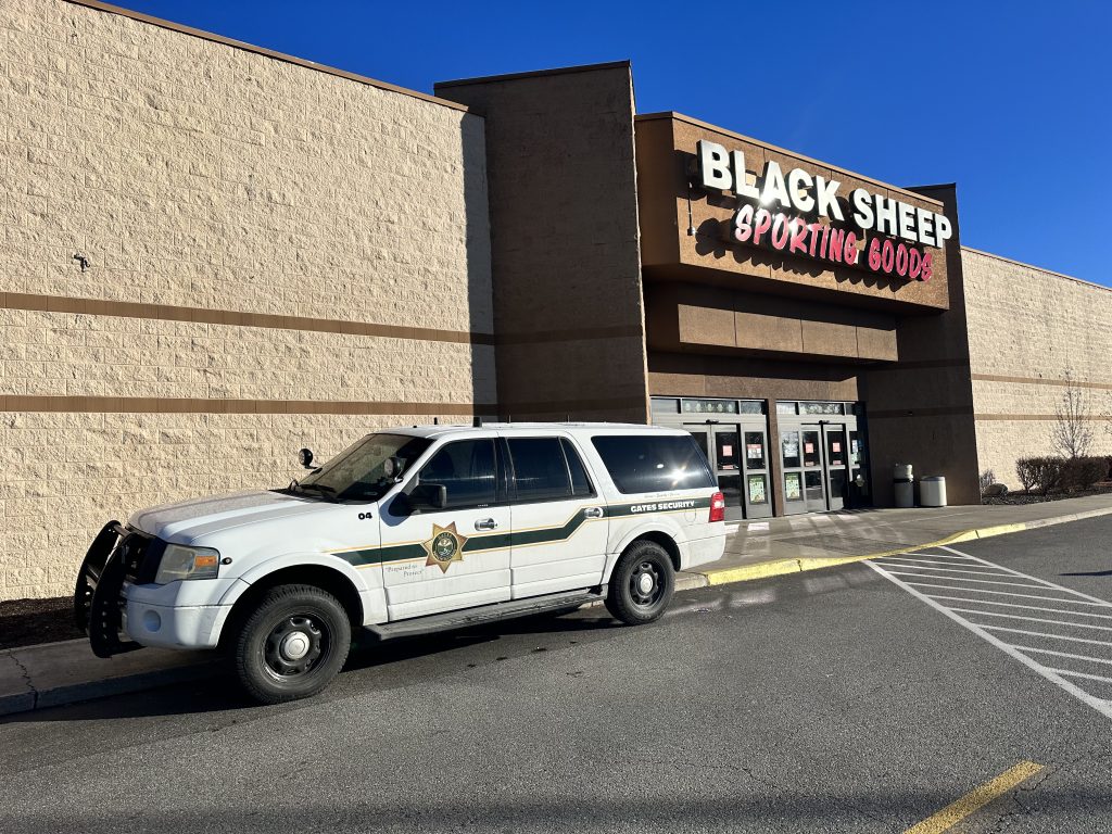 Residential and Business Security - Gates Security